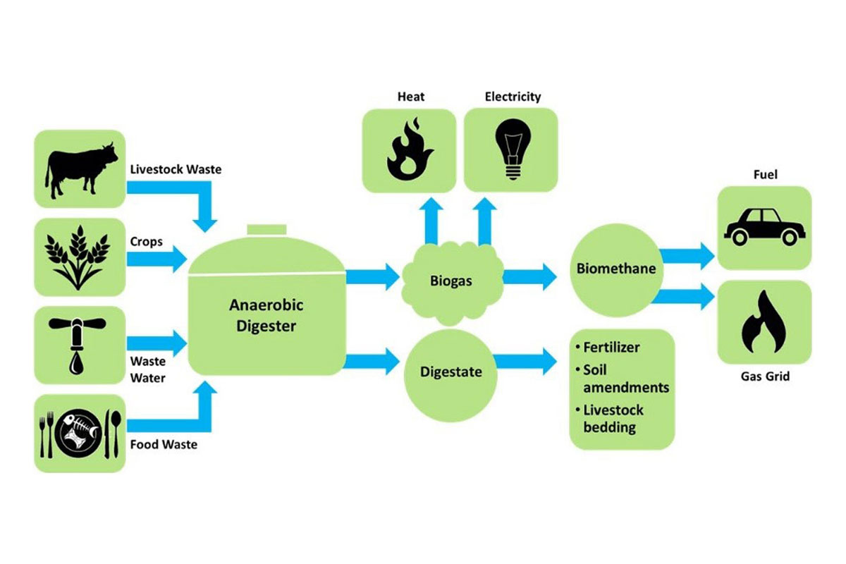 Fixed Dome Biogas Digester